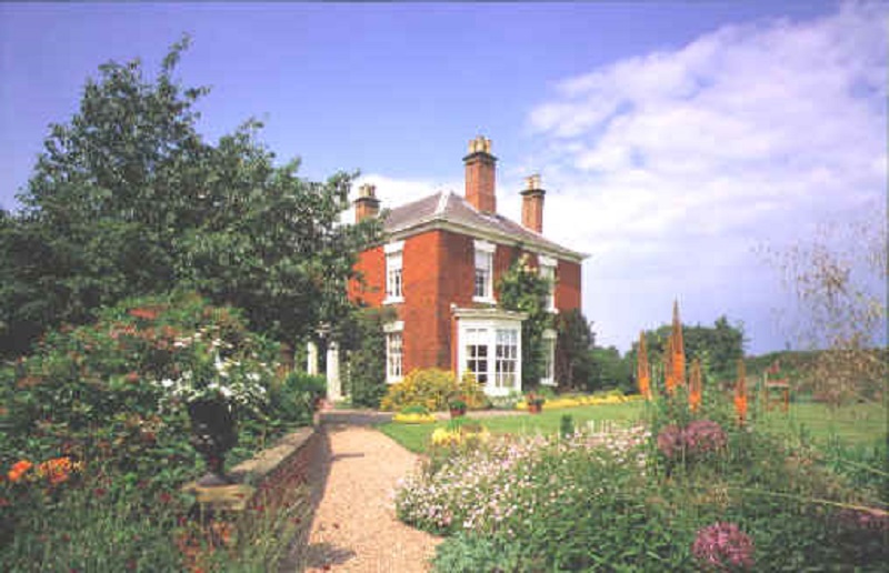 Bolham Manor - Stay In Britain